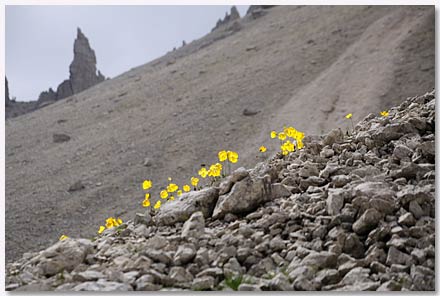 ZainoinSpalla - Il racconto della gita: Alta Via n.3 delle Dolomiti, l ...