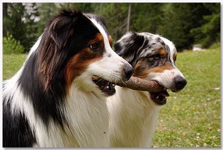 ZainoinSpalla - Il racconto della gita: Alta Via n.3 delle Dolomiti, l ...