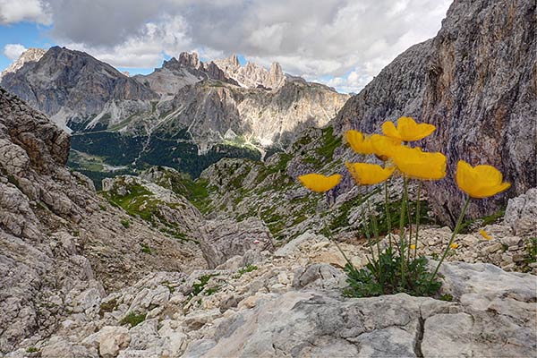 ZainoinSpalla - Il racconto della gita: Alta Via n.9 delle Dolomiti ...