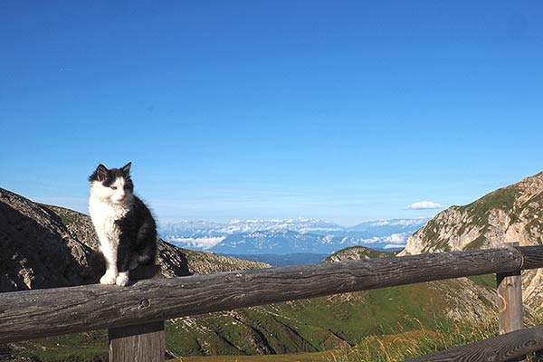 ZainoinSpalla - Il racconto della gita: Alta Via n.9 delle Dolomiti ...