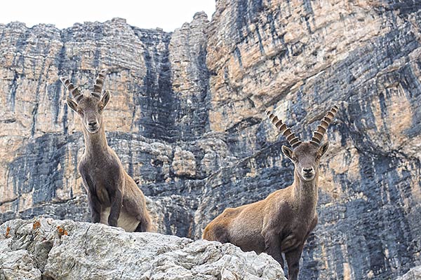 ZainoinSpalla - Il racconto della gita: Alta Via n.9 delle Dolomiti ...